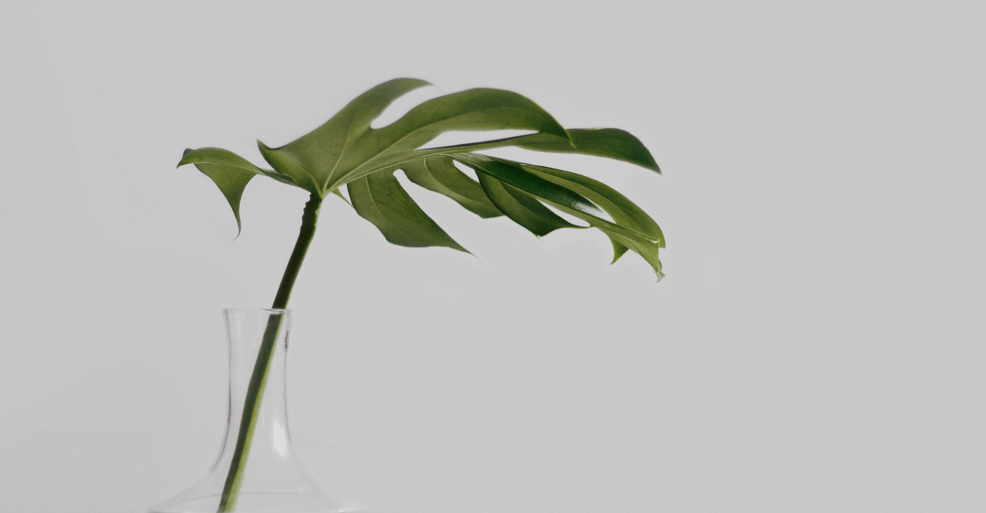 Minimal still life - | iProcess.lt